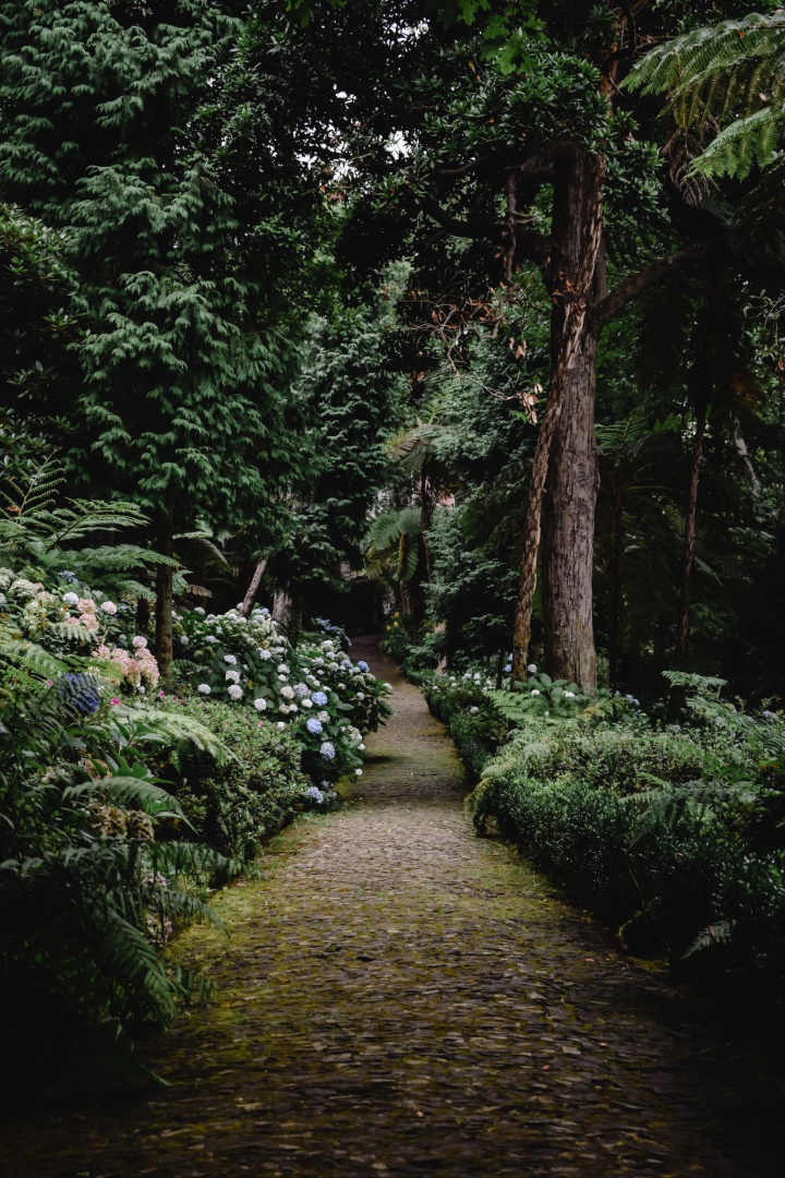 Spring Date Ideas: 10 Fun and Creative Activities for Couples